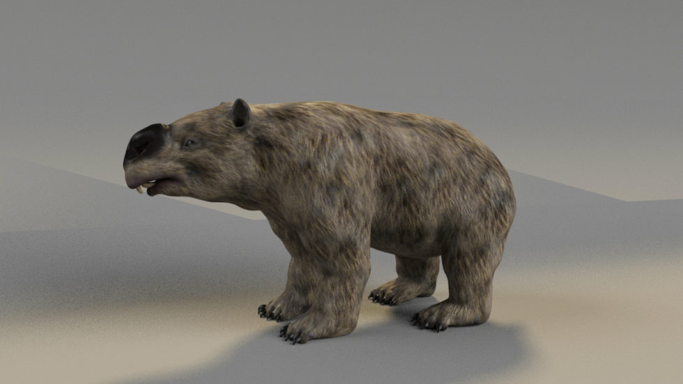 Extinct animals – Mike Ogawa